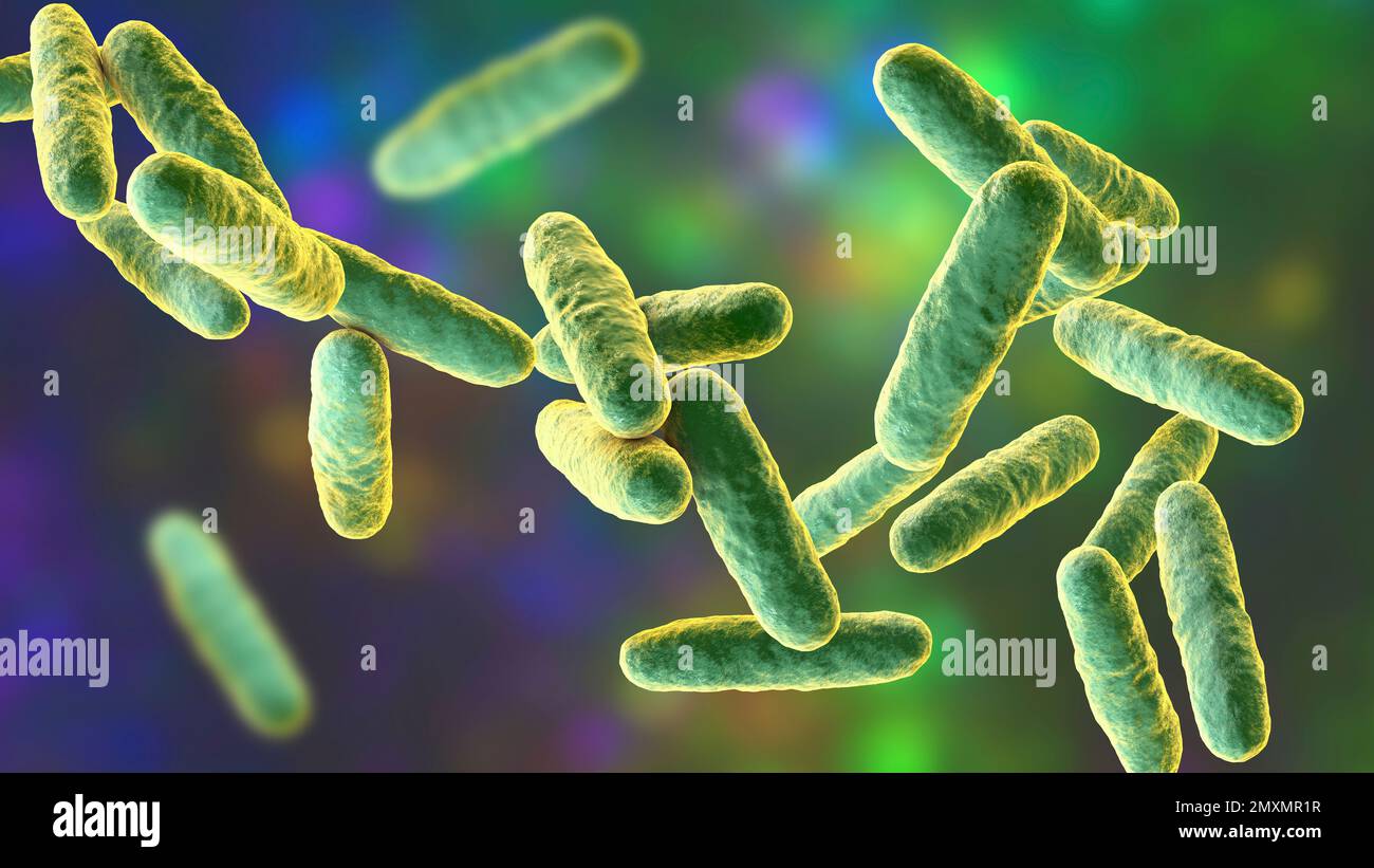Eikenella bacteria, illustration Stock Photo - Alamy Eikenella bacteria, illustration Stock Photo - Alamy