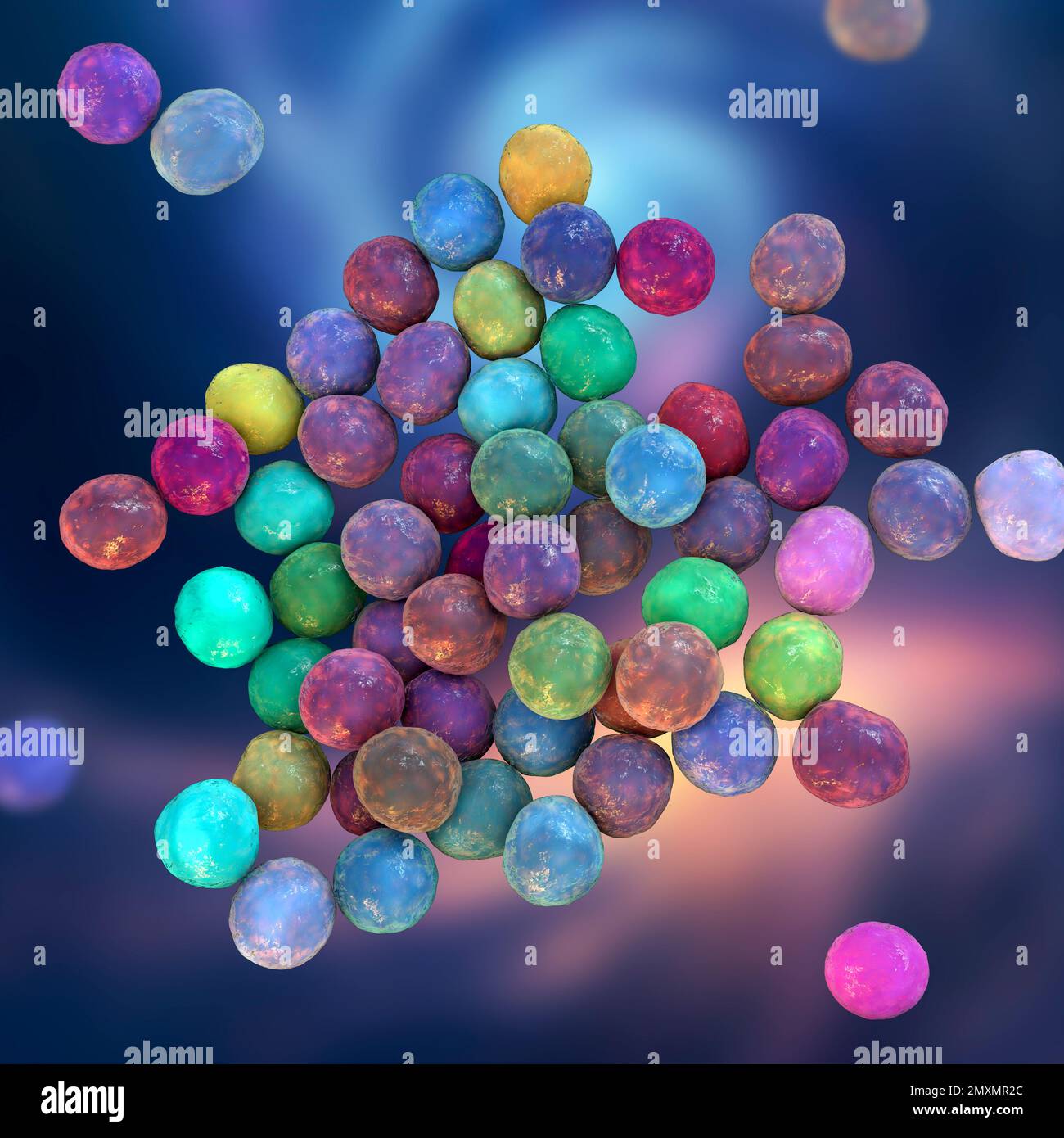 MRSA bacteria, illustration Stock Photo - Alamy