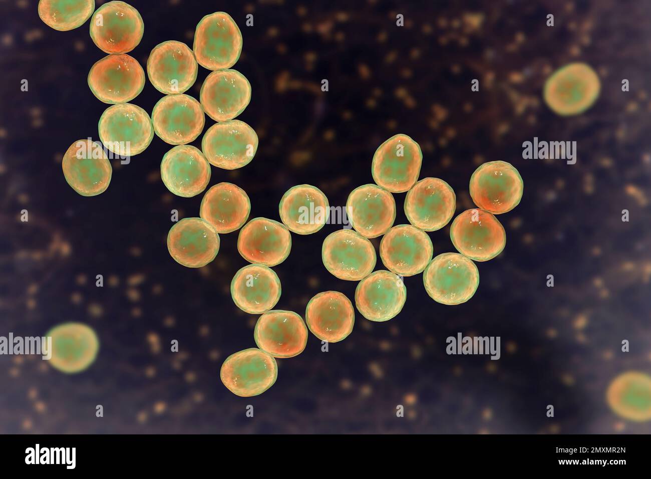 MRSA bacteria, illustration Stock Photo - Alamy