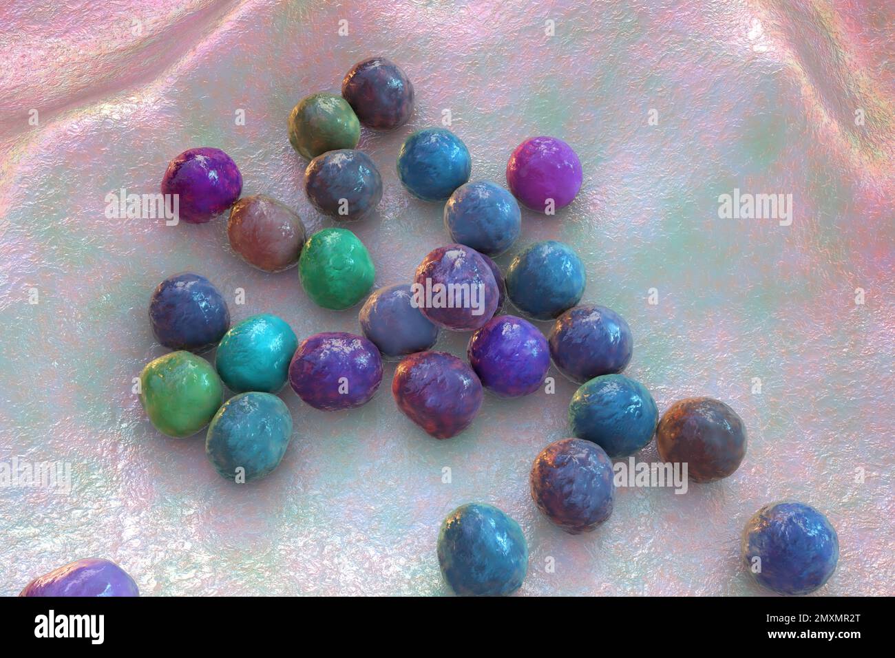 MRSA bacteria, illustration Stock Photo - Alamy