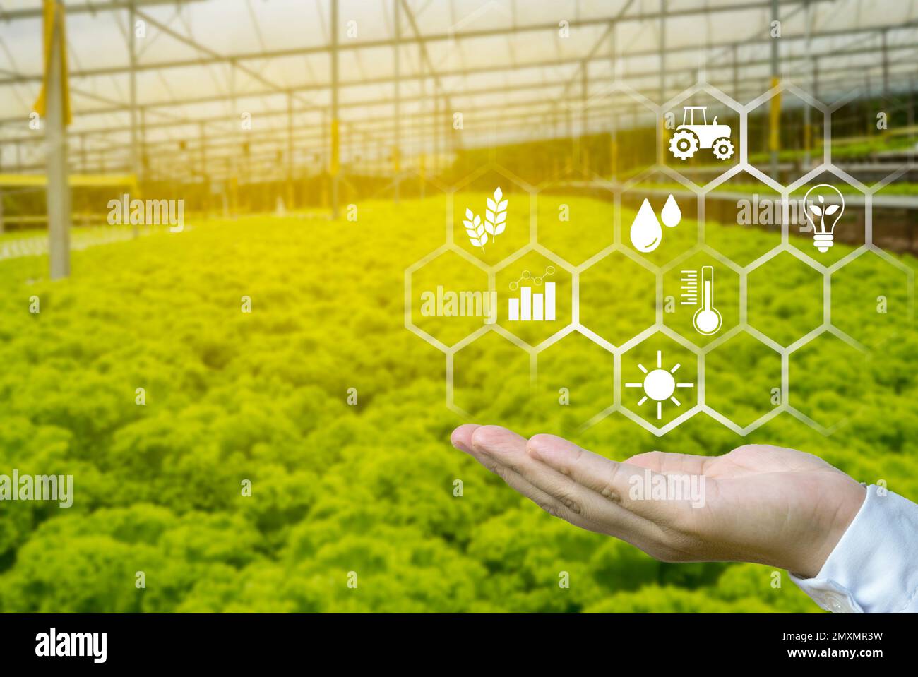 A hand holding a floating icon with a blurry background of green house ...