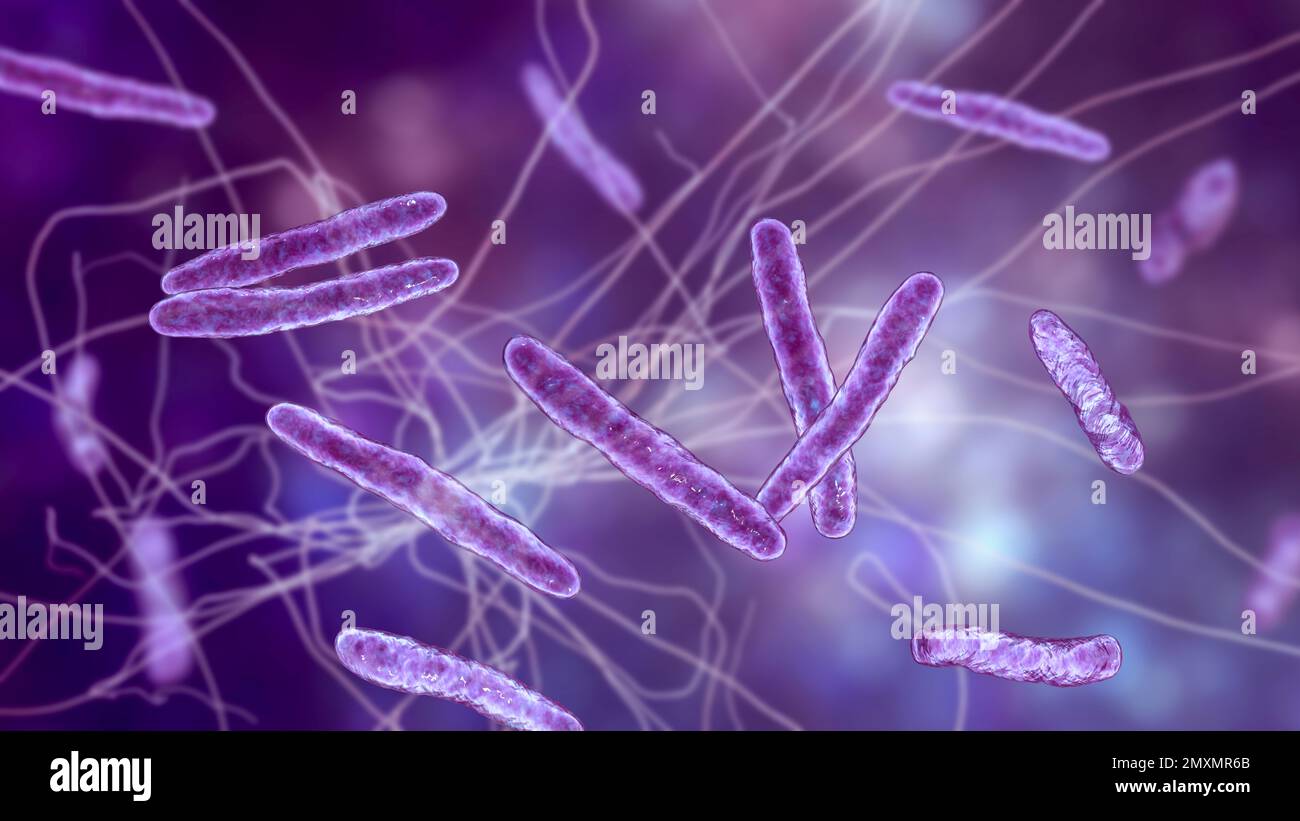 Mycobacterium bovis hi-res stock photography and images - Alamy
