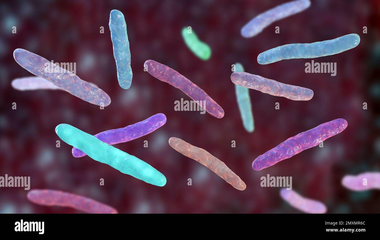 Tuberculosis bacteria, illustration Stock Photo - Alamy