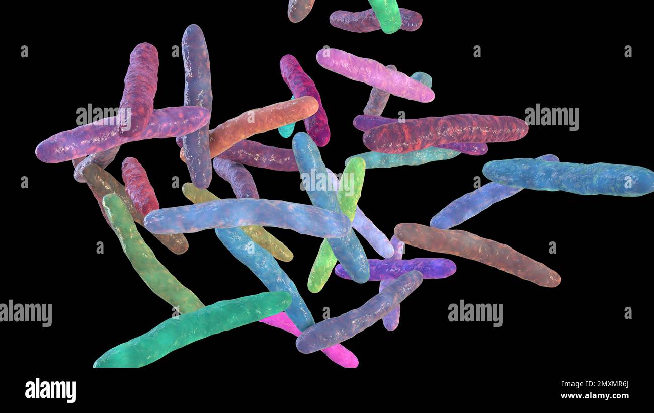 Mycobacterium bovis bacteria, illustration Stock Photo - Alamy