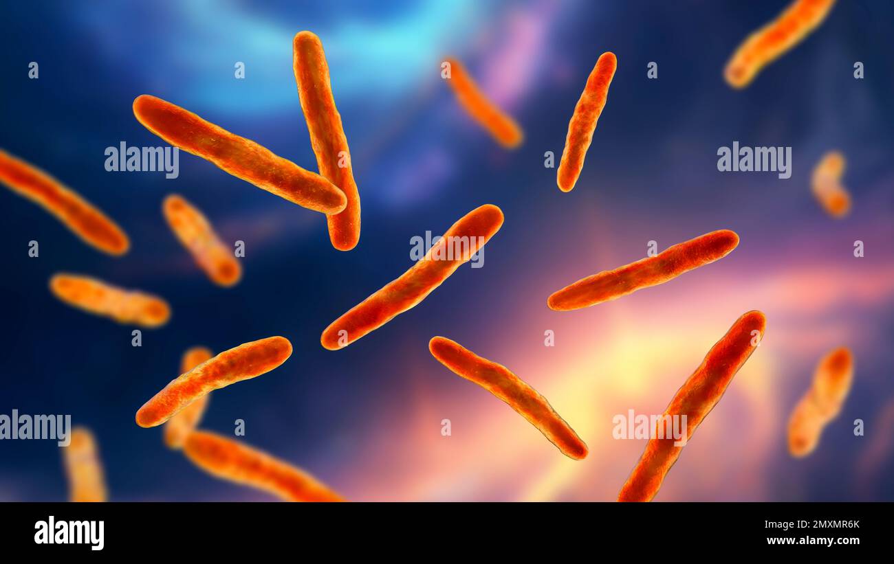 Mycobacterium bovis bacteria, illustration Stock Photo - Alamy