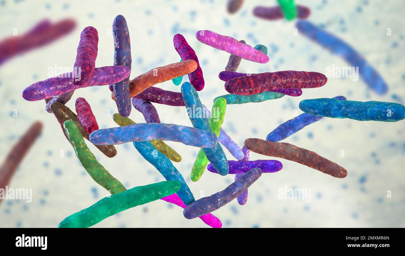 Mycobacterium bovis bacteria, illustration Stock Photo - Alamy
