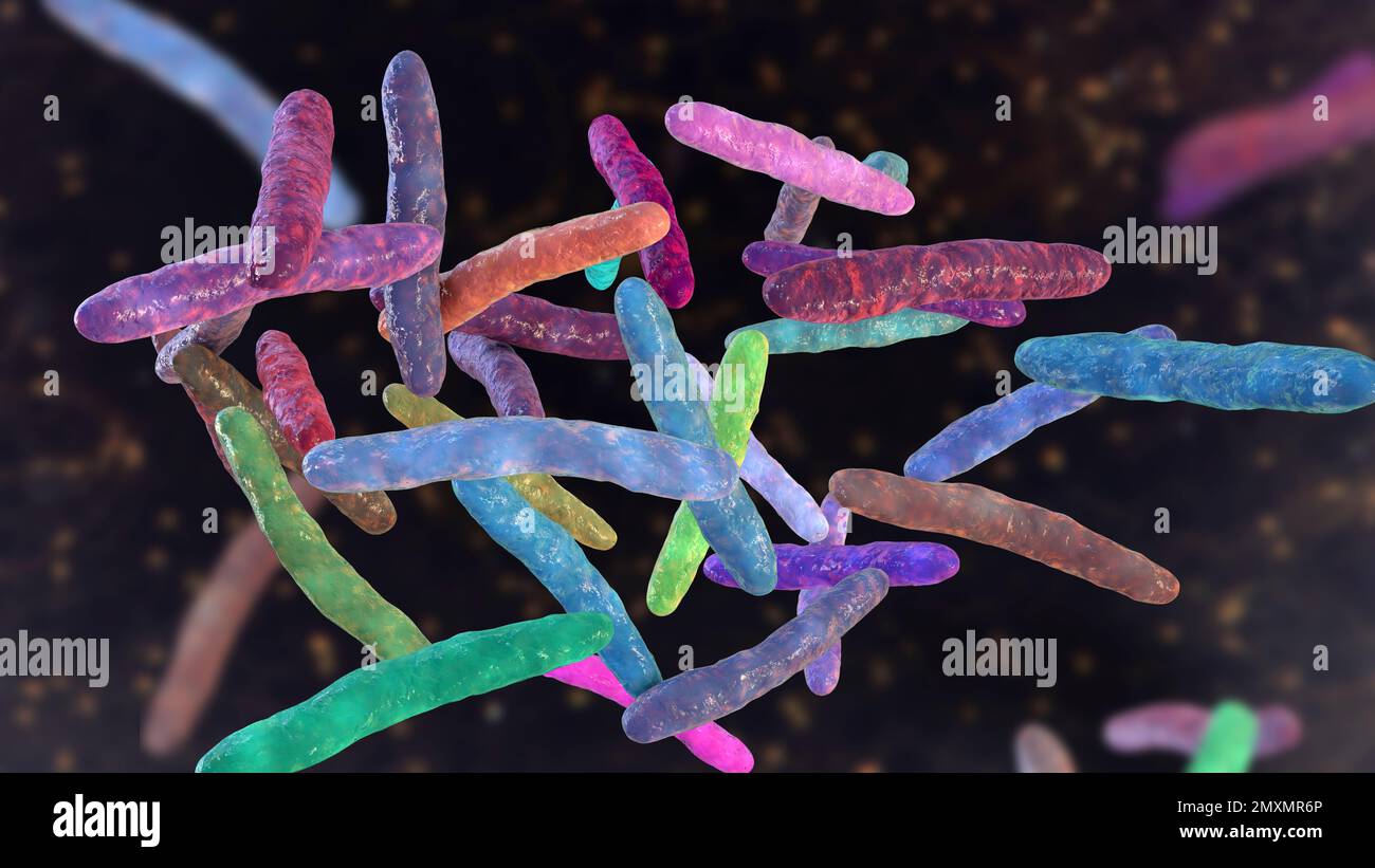 Mycobacterium bovis bacteria, illustration Stock Photo - Alamy