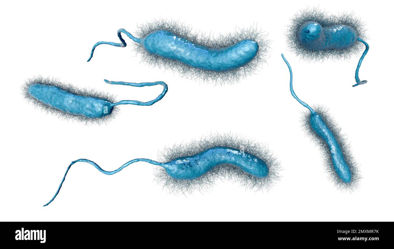 Bacterial cells illustration Cut Out Stock Images & Pictures - Alamy