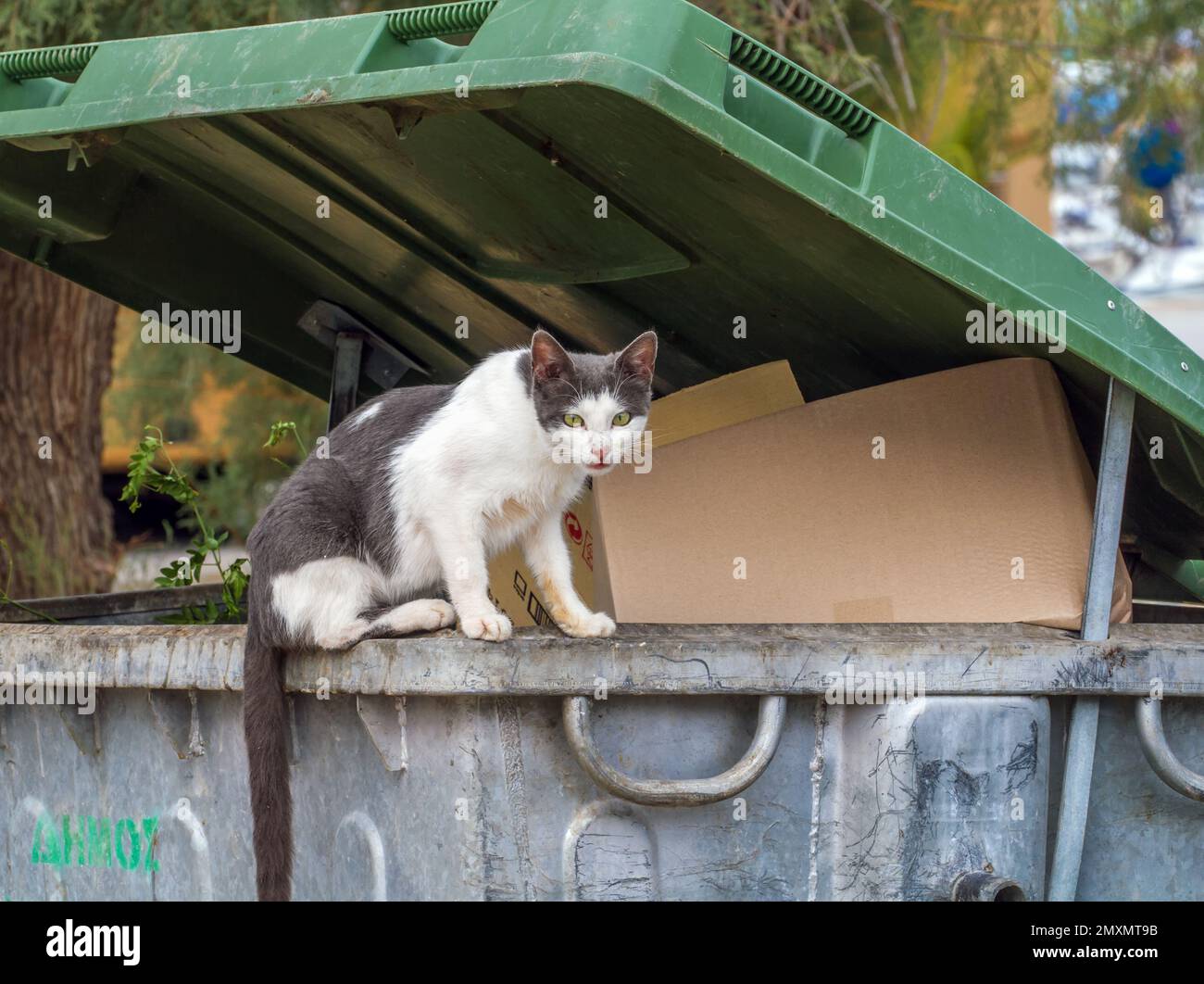 Fur container hi-res stock photography and images - Alamy