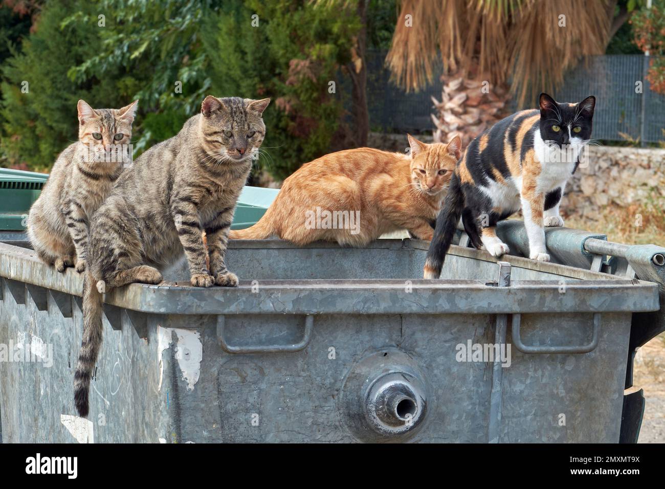Fur container hi-res stock photography and images - Alamy
