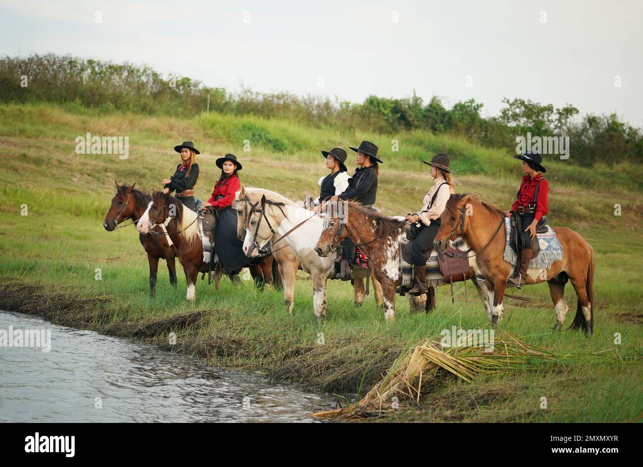 cowboy on his horse during the run of the horses and, in background, a ...
