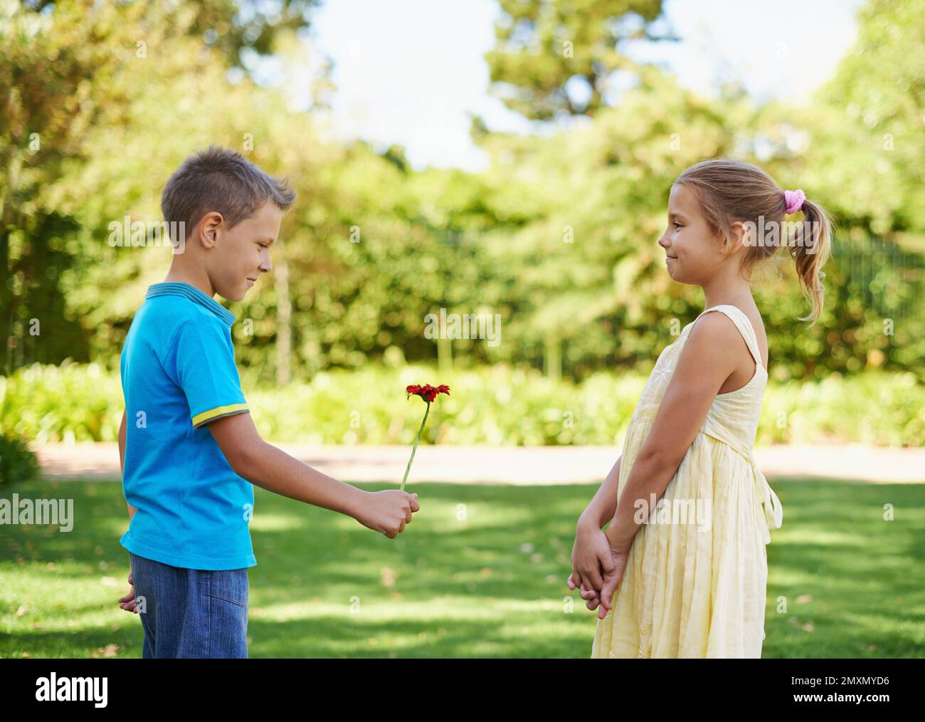 Plucking up the courage. A bashful little boy holding a flower out to ...