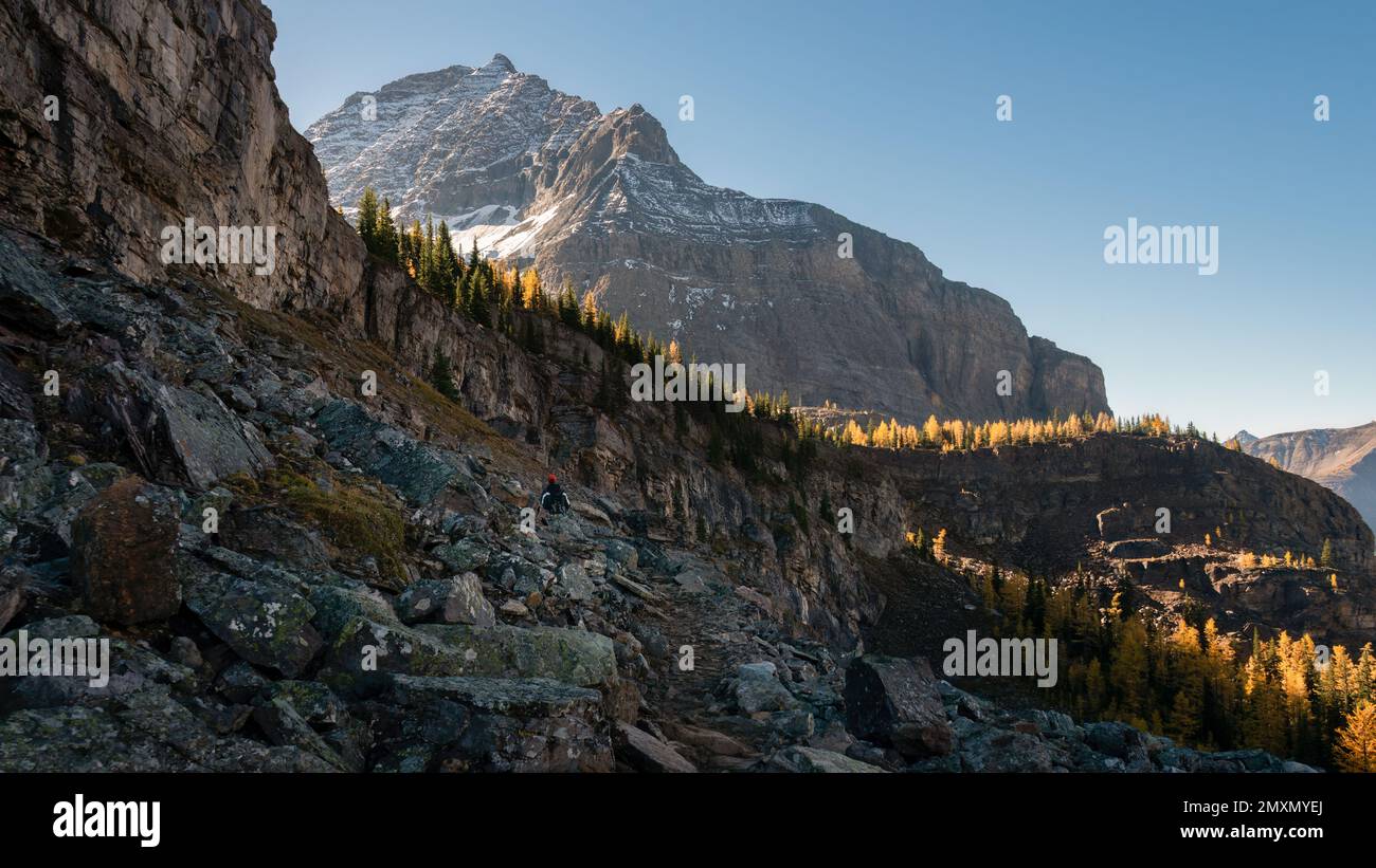 Hiking Lake O'Hara to Lake McArthur Trail through the boulders in ...