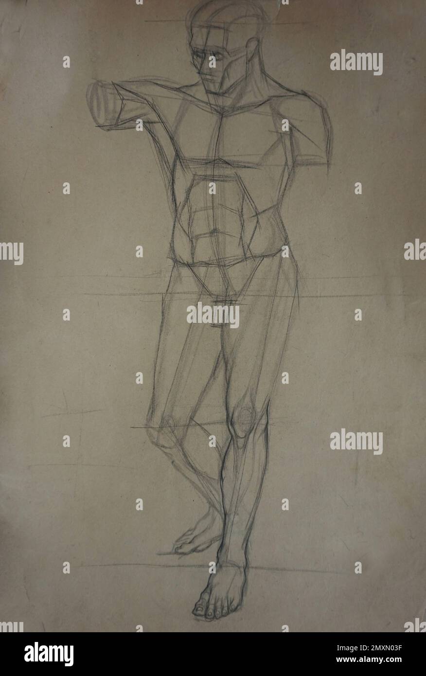 Art drawing Structure fine art Out line muscle shape man , academy of ...