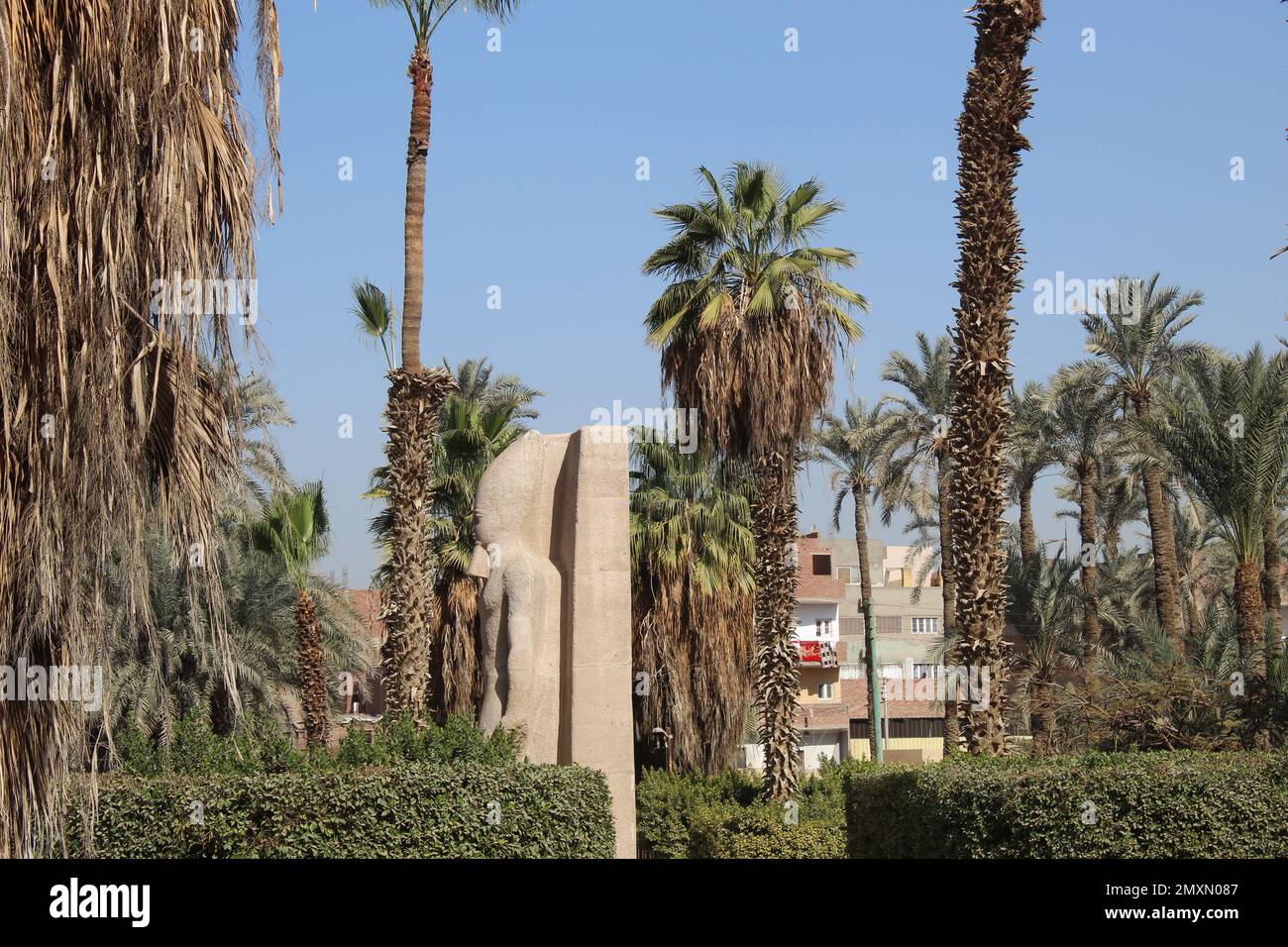 Statue of Rameses II in Mit Rahina Museum Stock Photo - Alamy
