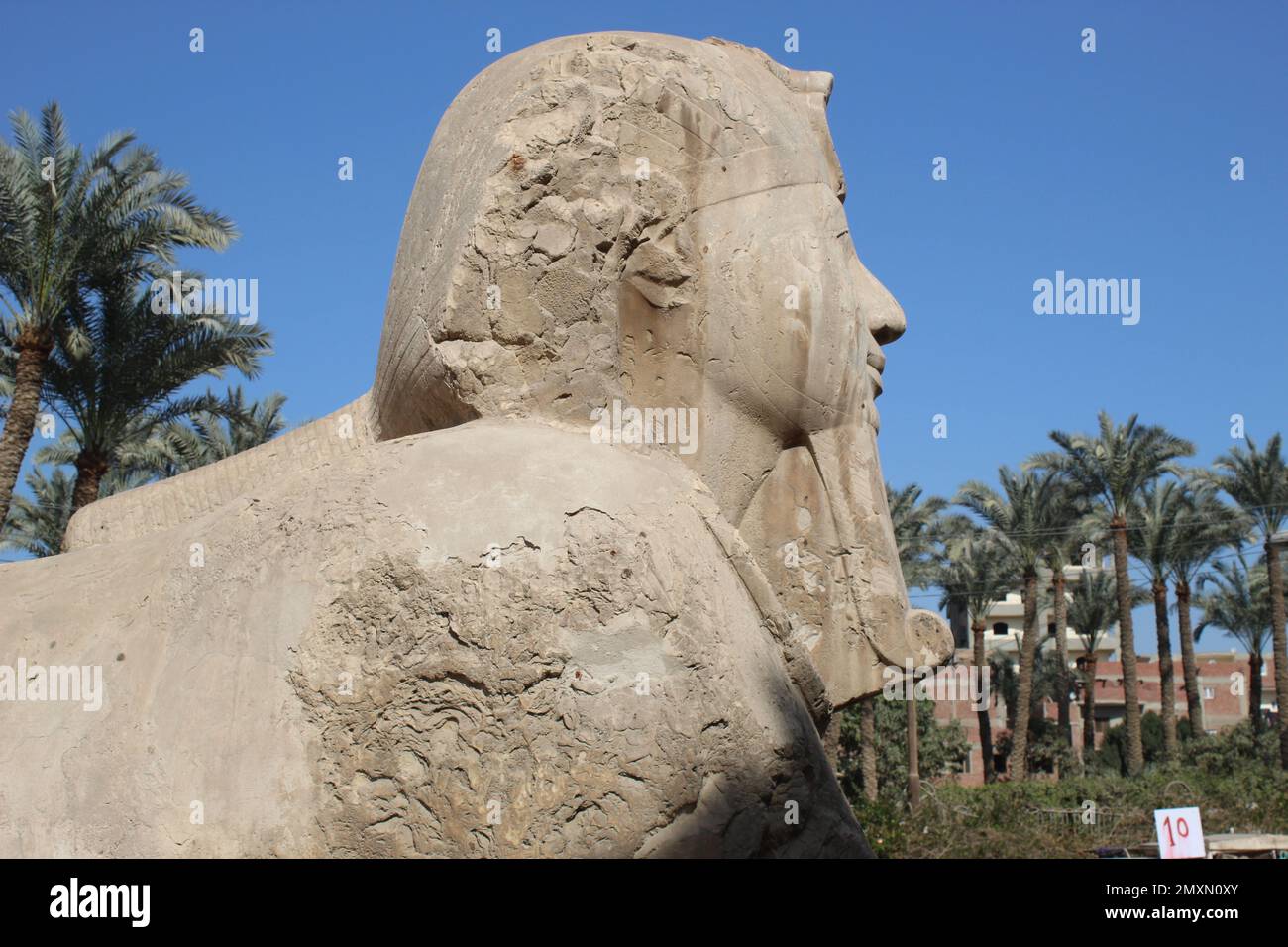 Sphinx of Memphis, Egypt Stock Photo - Alamy