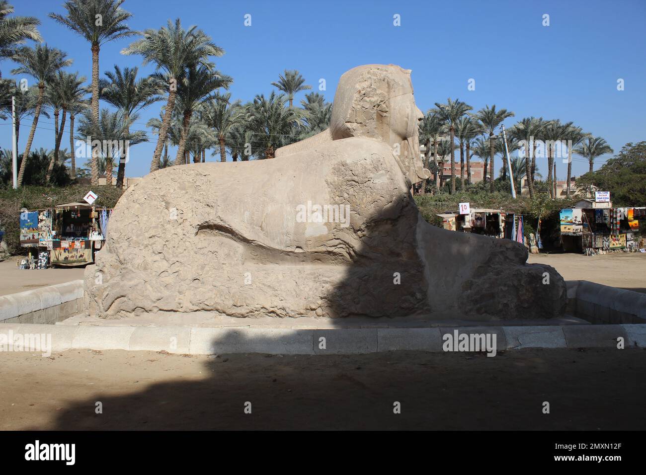 Sphinx of Memphis, Egypt Stock Photo - Alamy