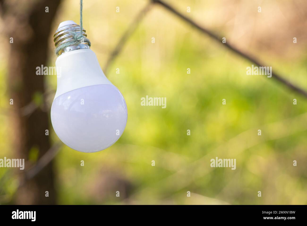 energy-saving light bulb hanging on a rope on a tree Stock Photo - Alamy
