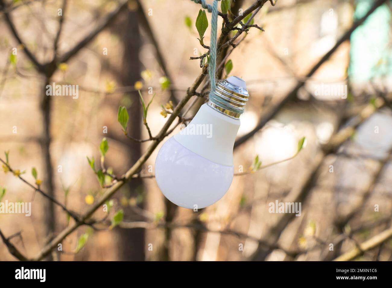 Rope tied to tree hi-res stock photography and images - Alamy