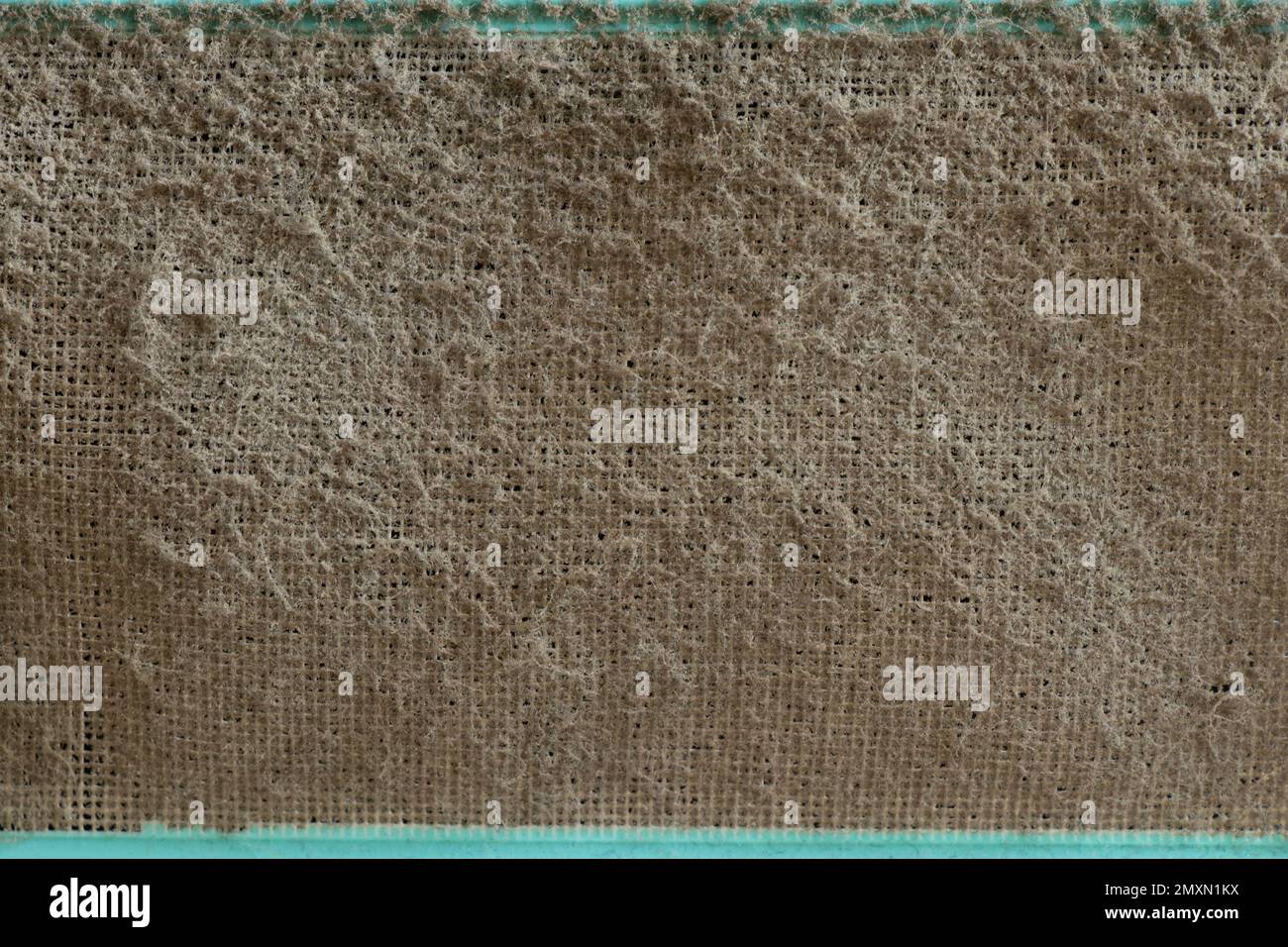 Dust mesh hi-res stock photography and images - Alamy