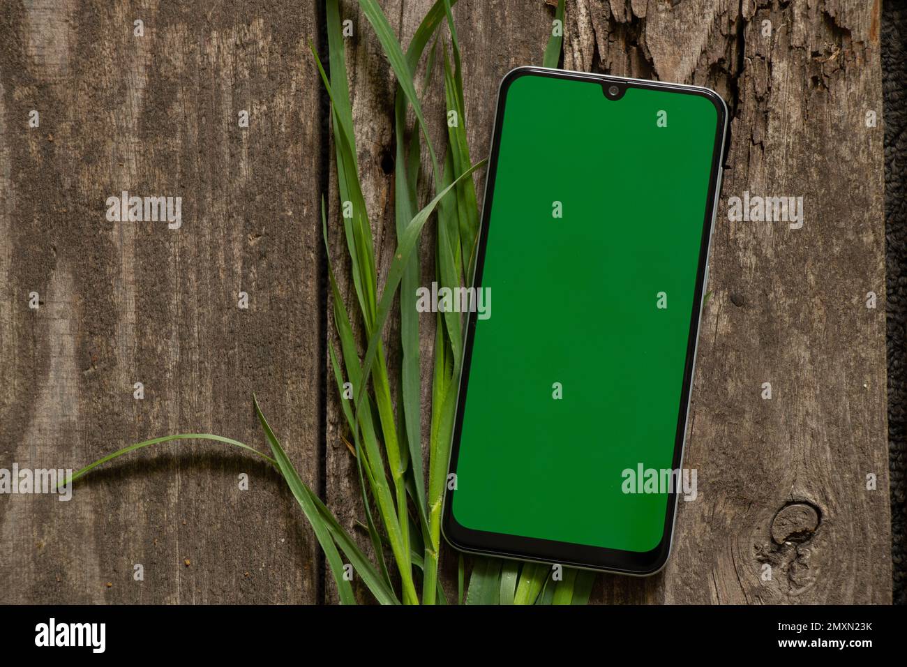 Touch grass hi-res stock photography and images - Alamy