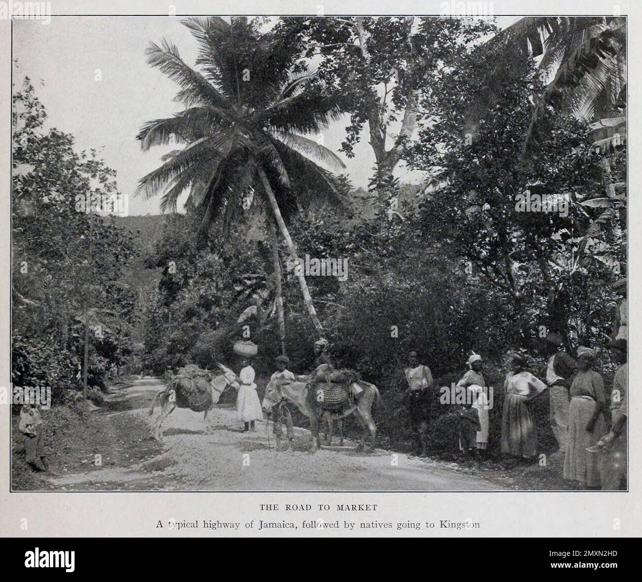 1934 human interest story hi-res stock photography and images - Alamy