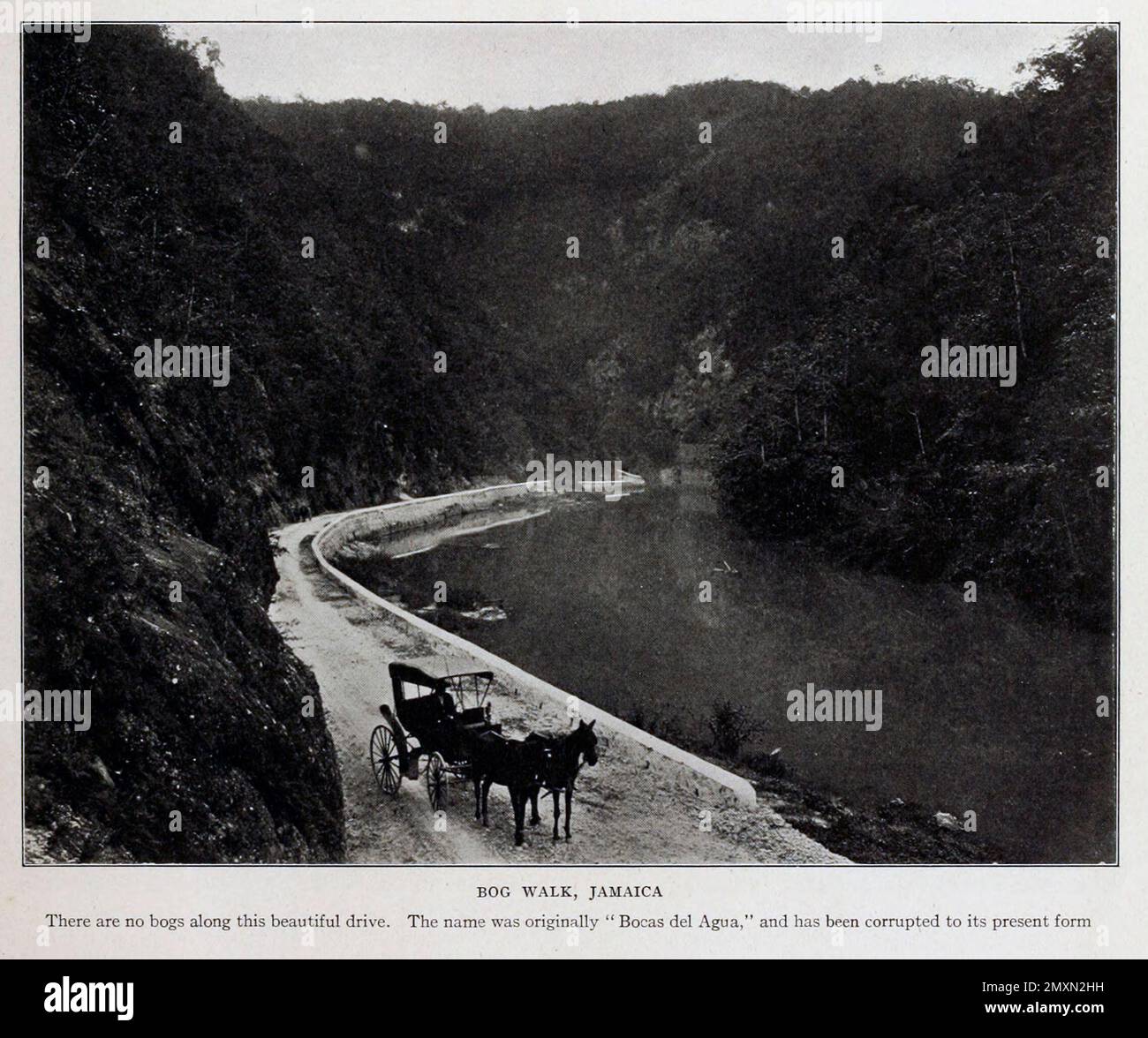 Bog Walk. Jamaica from the book Panama and the Canal in picture and ...