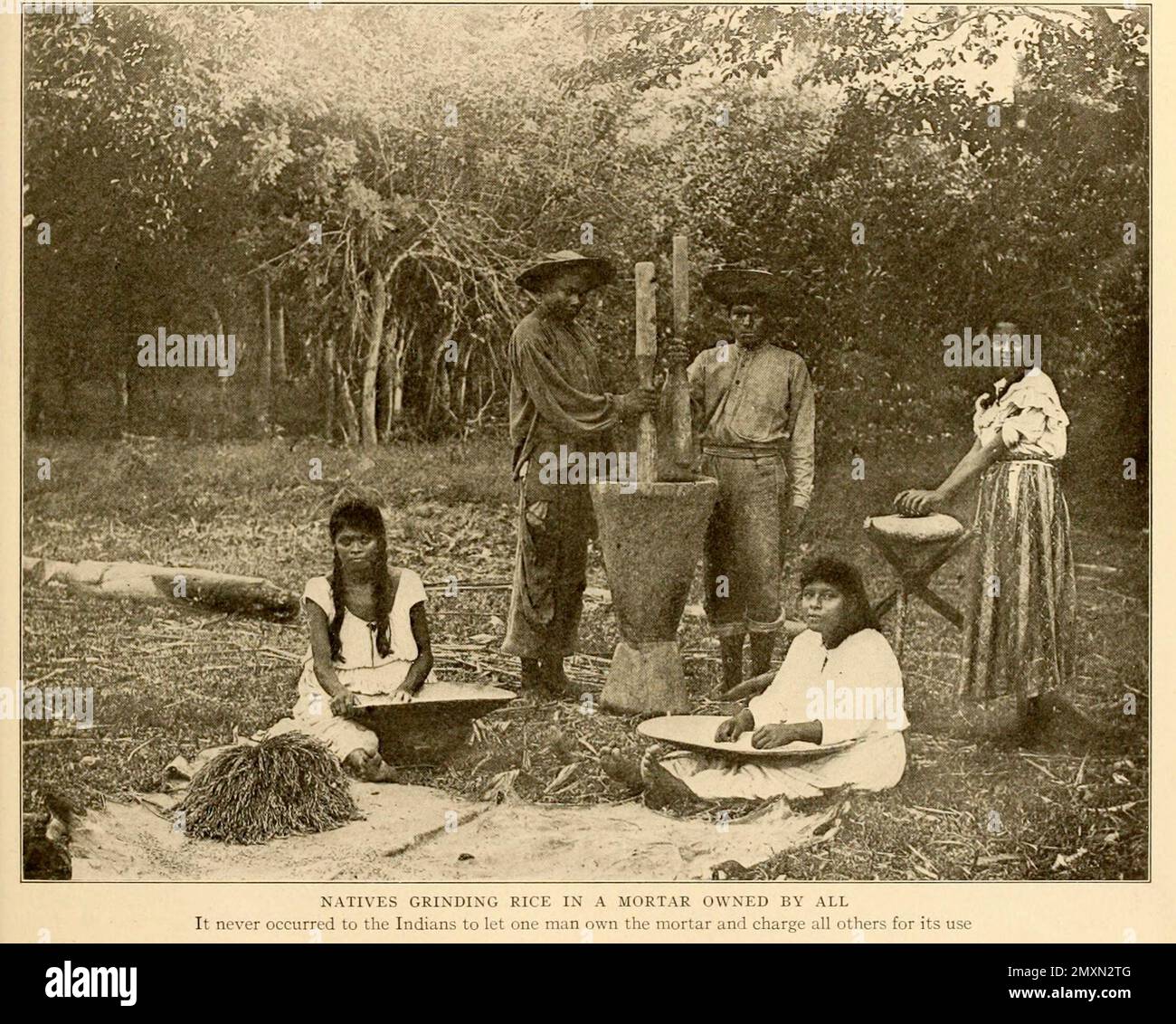 NATIVES GRINDING RICE IN A MORTAR OWNED BY ALL It never occurred to the ...