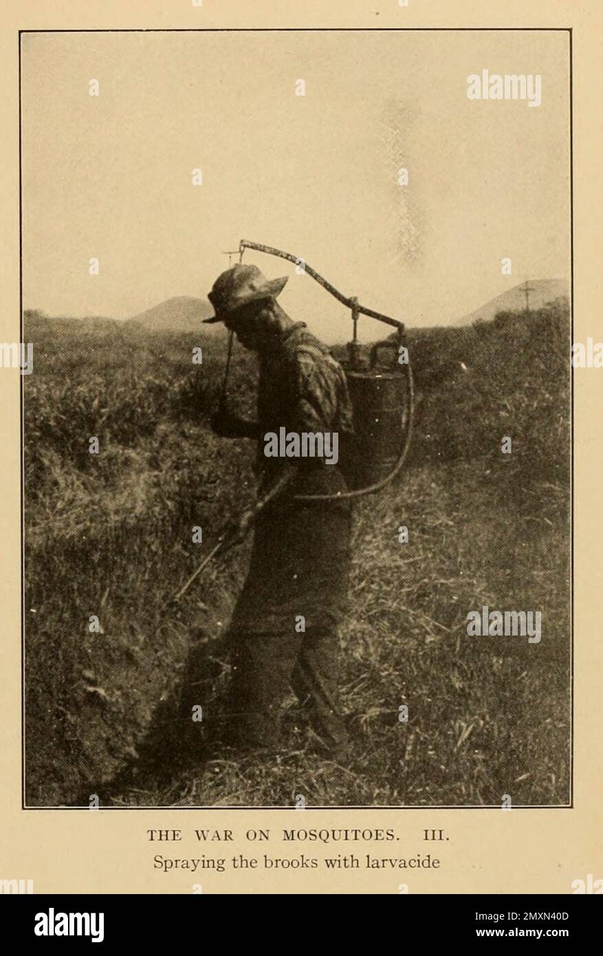 The War on Mosquitoes spraying the brooks with larvacide William ...