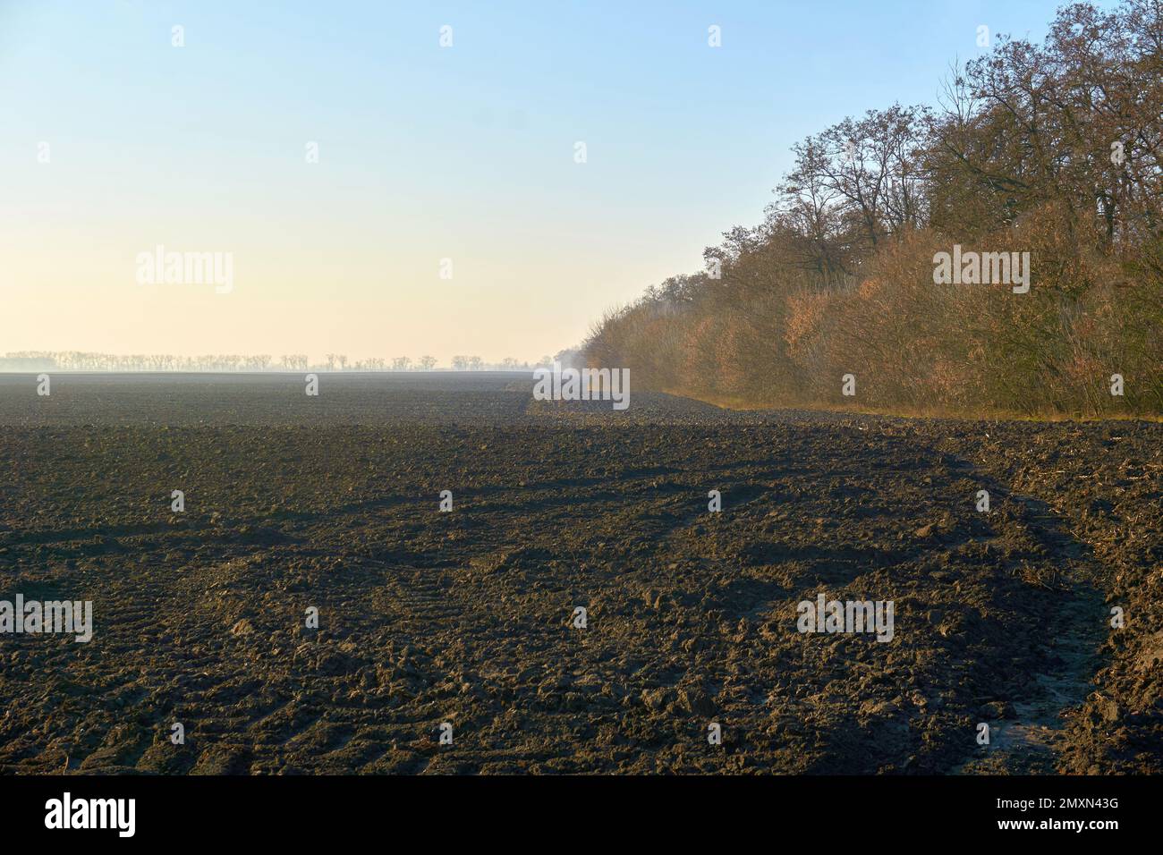 Abundance preparation planning hi-res stock photography and images - Alamy