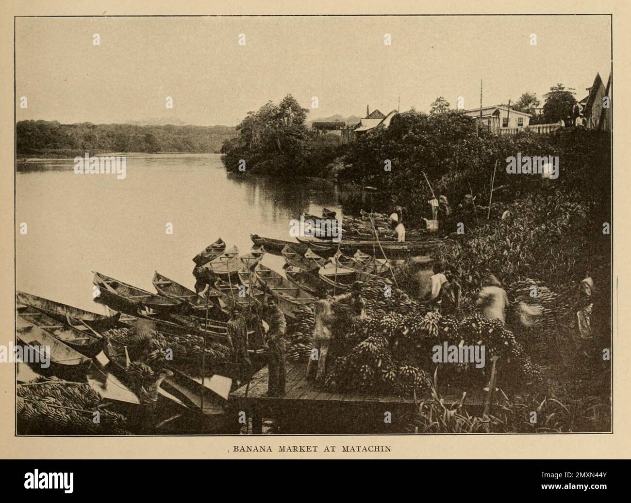 Banana Market at Matachin from the book Panama and the Canal in picture ...