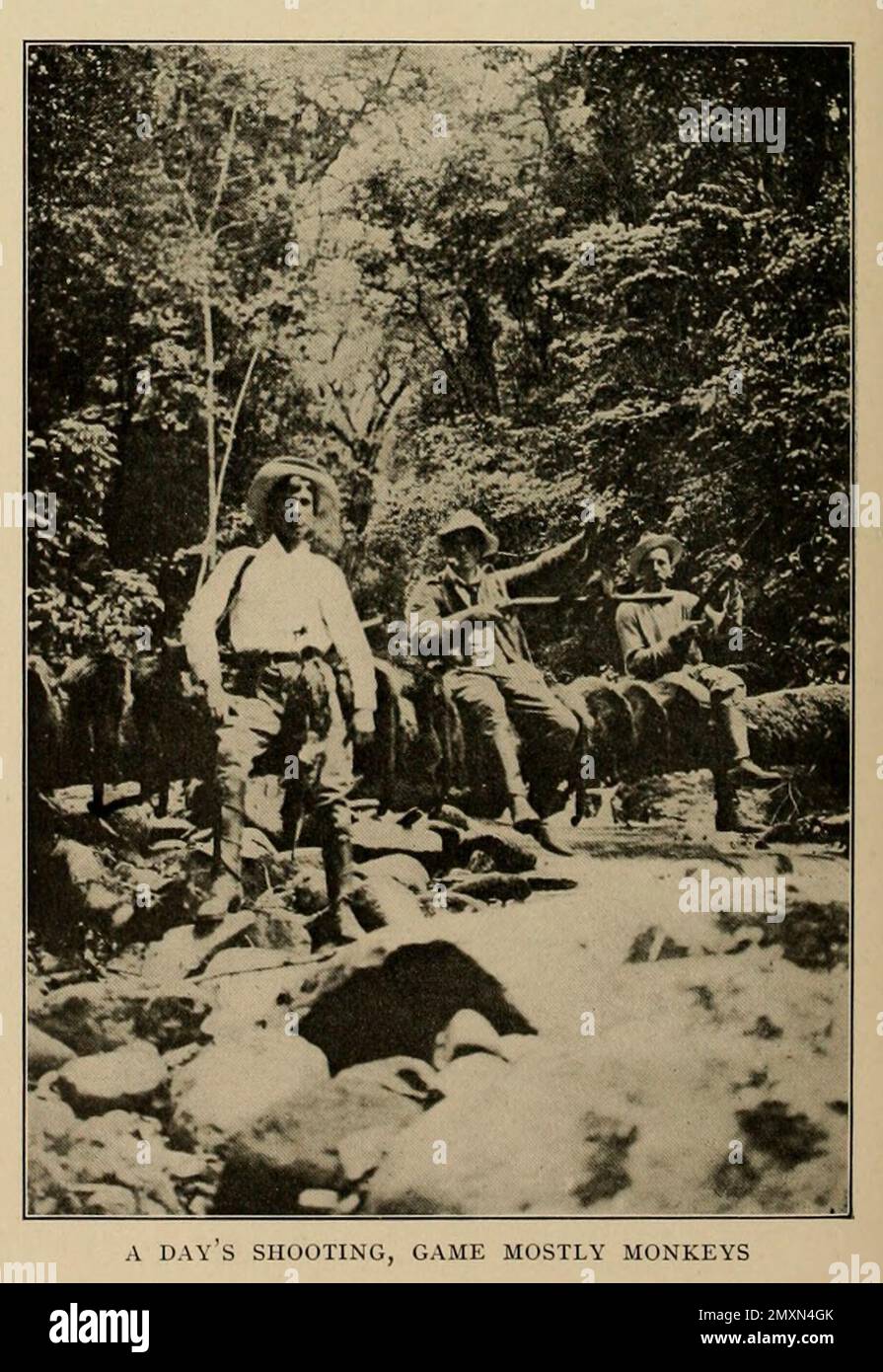 A Day's Shooting, Game Mostly Monkeys from the book Panama and the ...