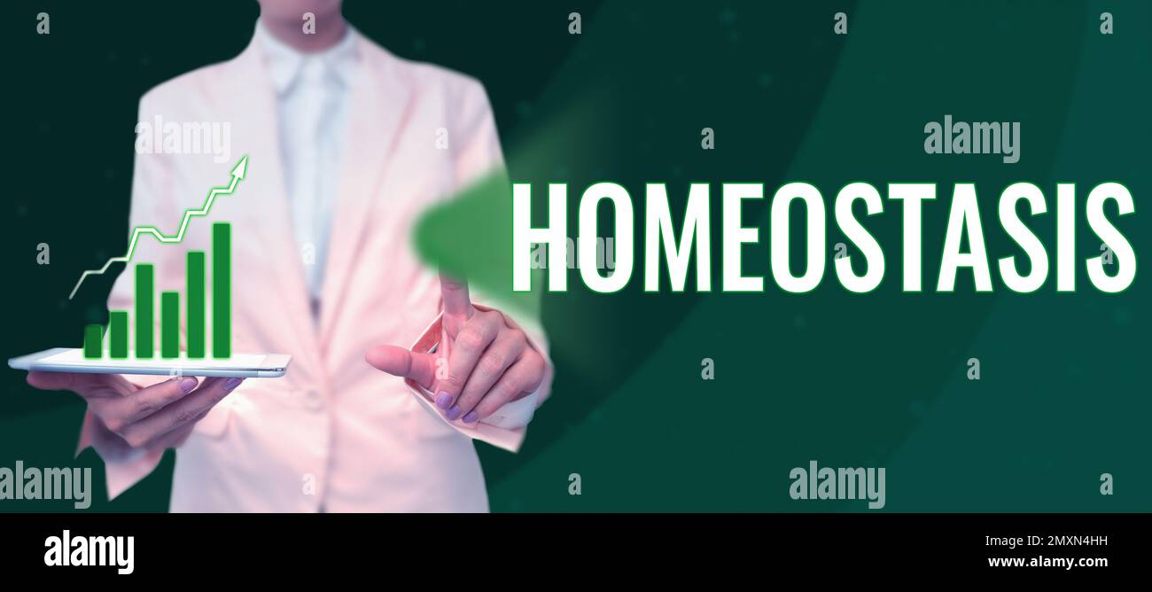 Text sign showing Homeostasis. Conceptual photo the tendency toward a ...