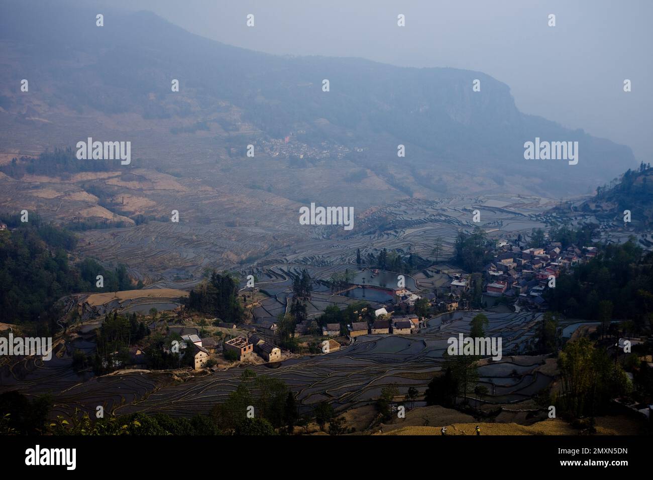 Yuan yang birds hi-res stock photography and images - Alamy