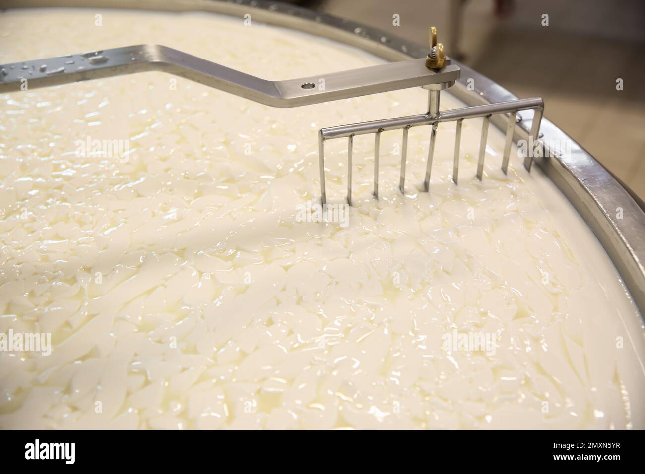 Curd and whey in tank at cheese factory, closeup Stock Photo - Alamy