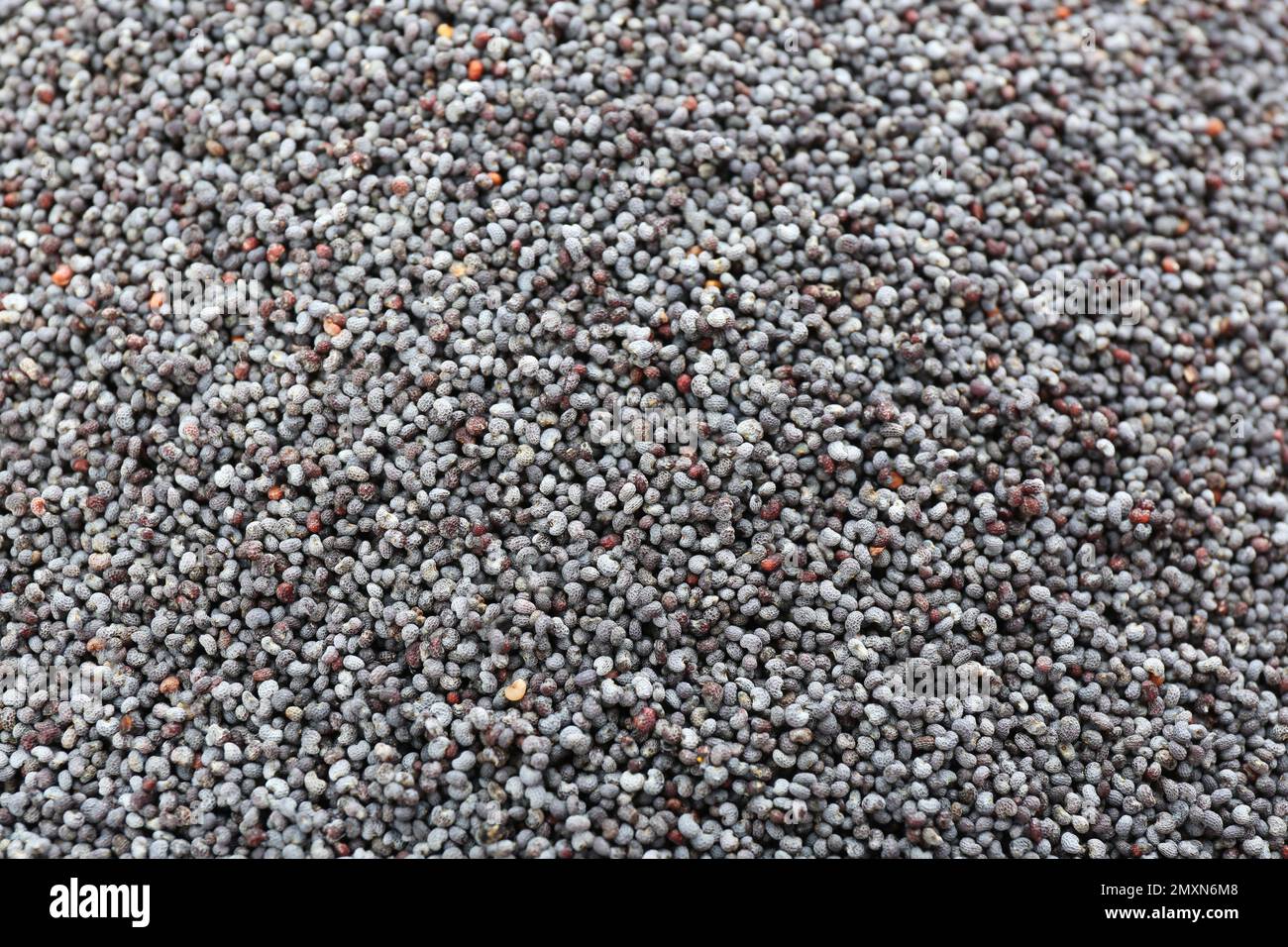 Dry poppy seeds as background, closeup view Stock Photo - Alamy