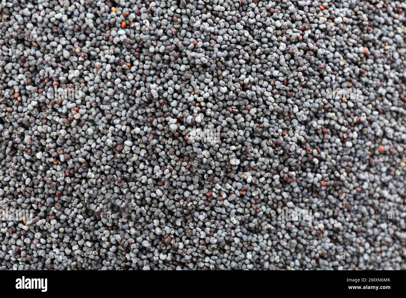 Dry poppy seeds as background, closeup view Stock Photo - Alamy