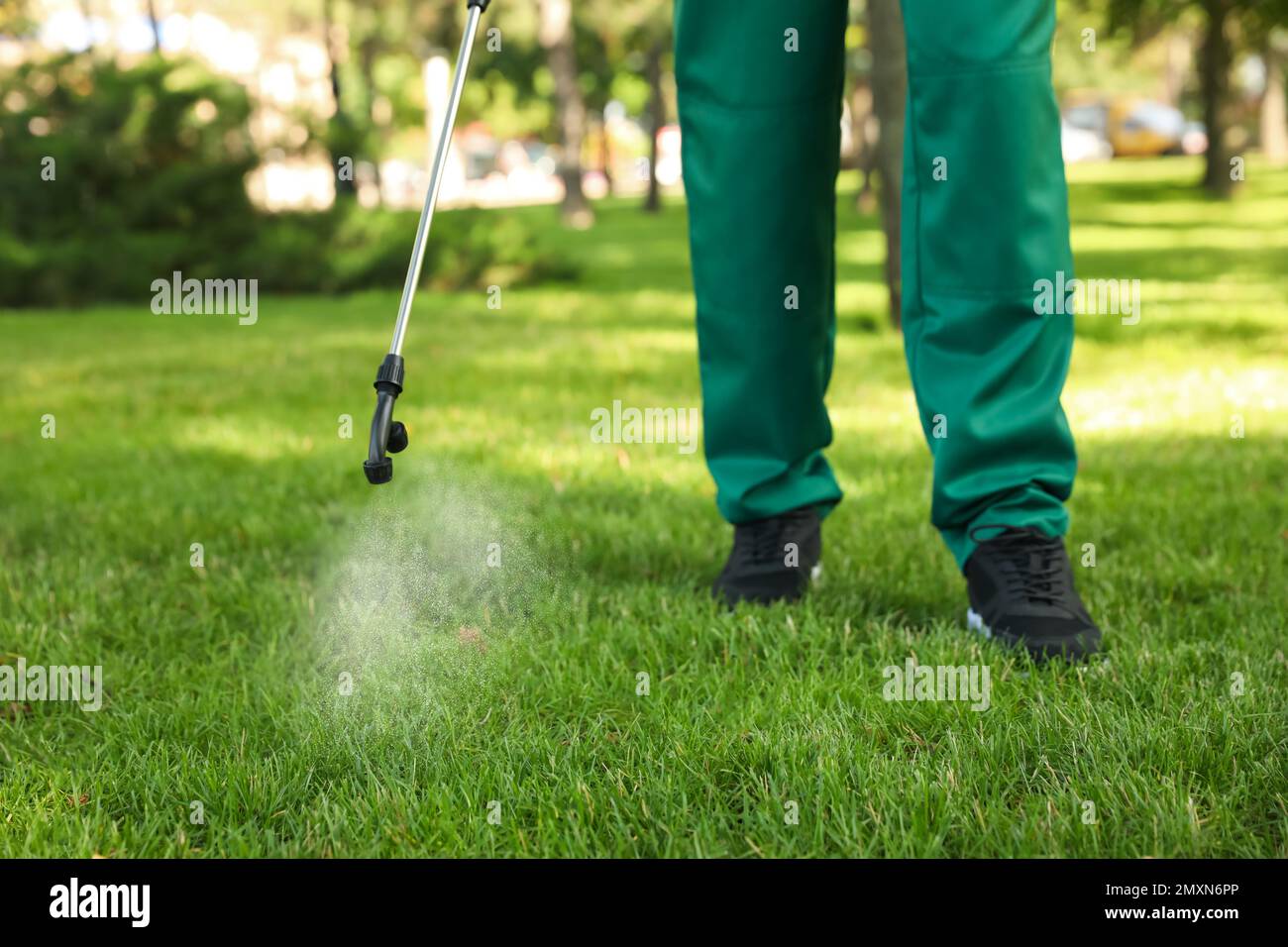 Worker spraying pesticide onto green lawn outdoors, closeup. Pest ...