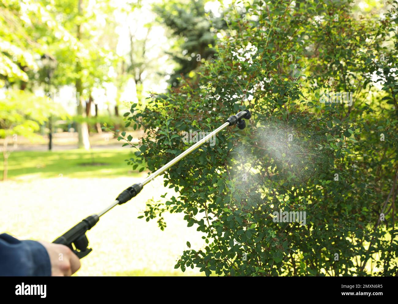 Worker spraying pesticide onto green bush outdoors, closeup. Pest ...