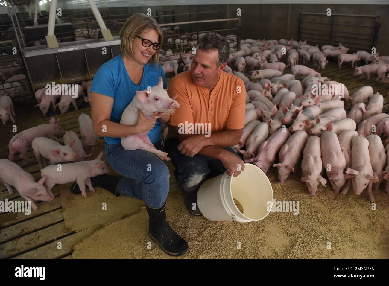 IMAGE DISTRIBUTED FOR NATIONAL PORK BOARD - In this image released on ...
