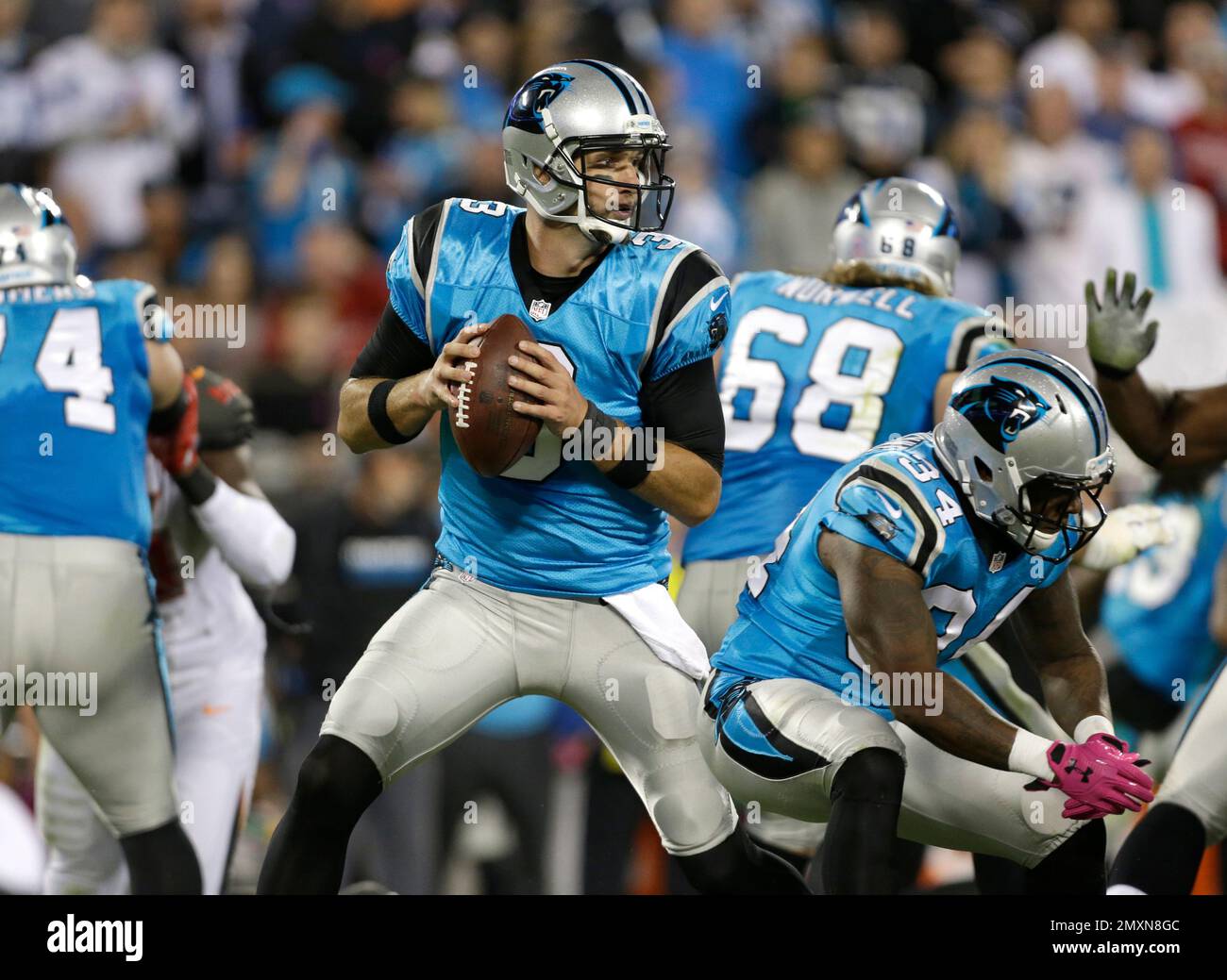 Carolina Panthers' Derek Anderson (3) looks to pass against the Tampa ...