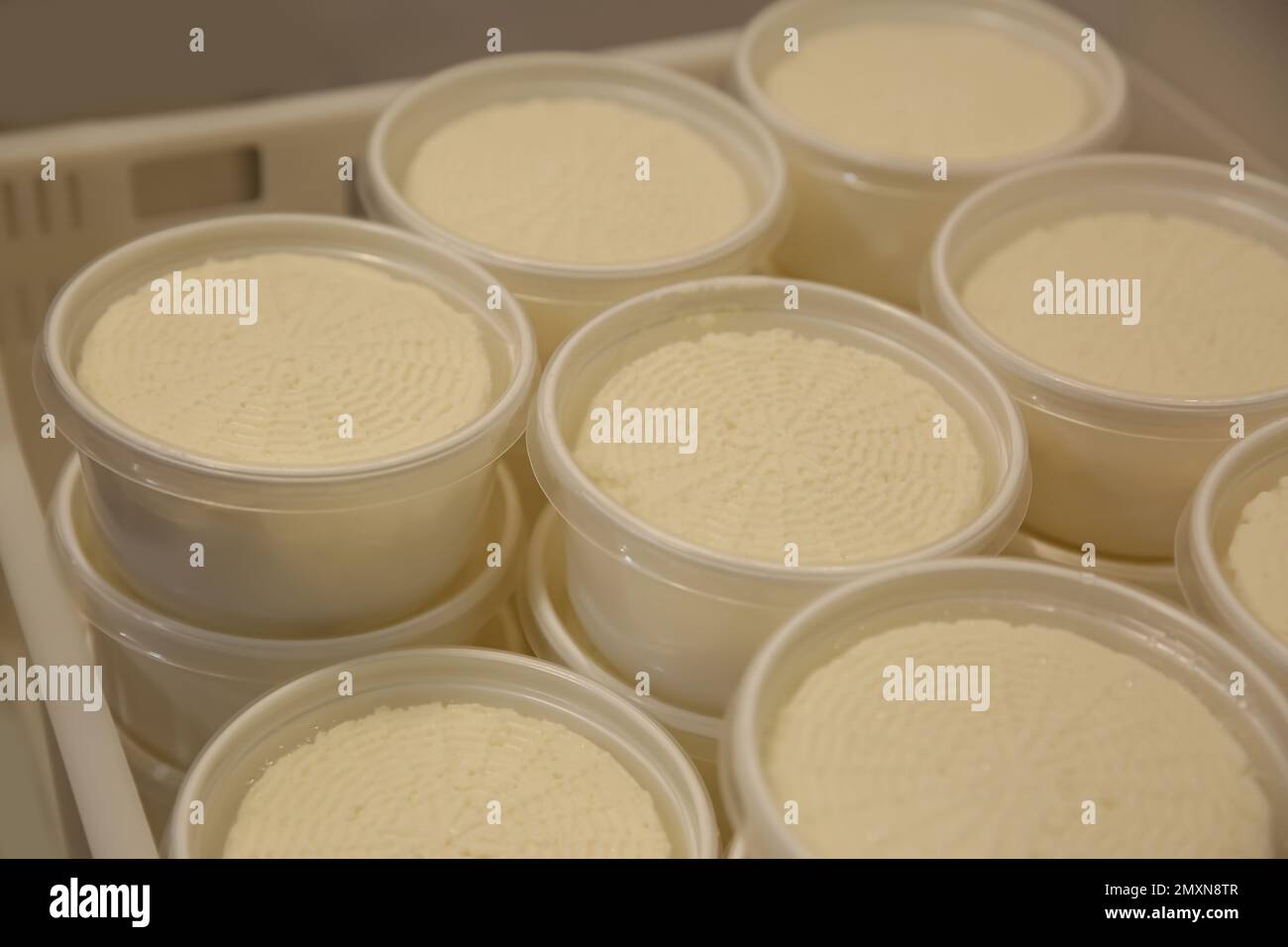 Moulds with pressed cheese in box at modern factory, closeup Stock ...