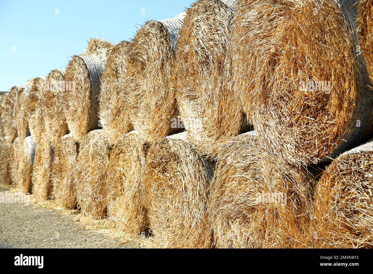 Modern straw rolls hi-res stock photography and images - Alamy