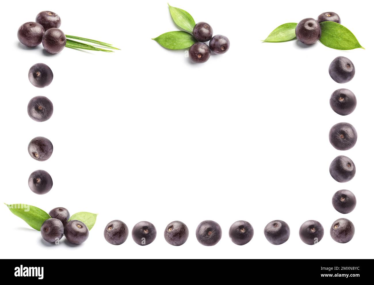 Frame of fresh acai berries on white background Stock Photo - Alamy