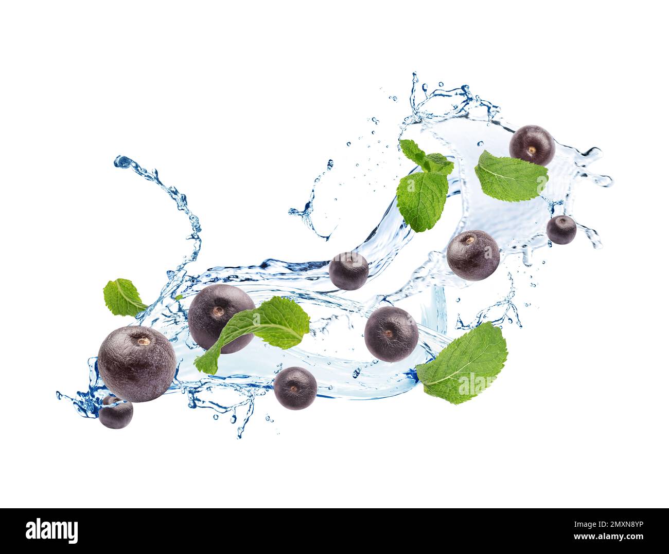 Water splash with acai berries and mint leaves on white background ...