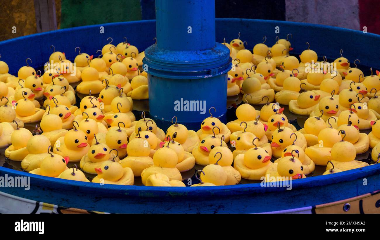 Yellow Rubber Duck in a blue pool at a local fair Stock Photo - Alamy