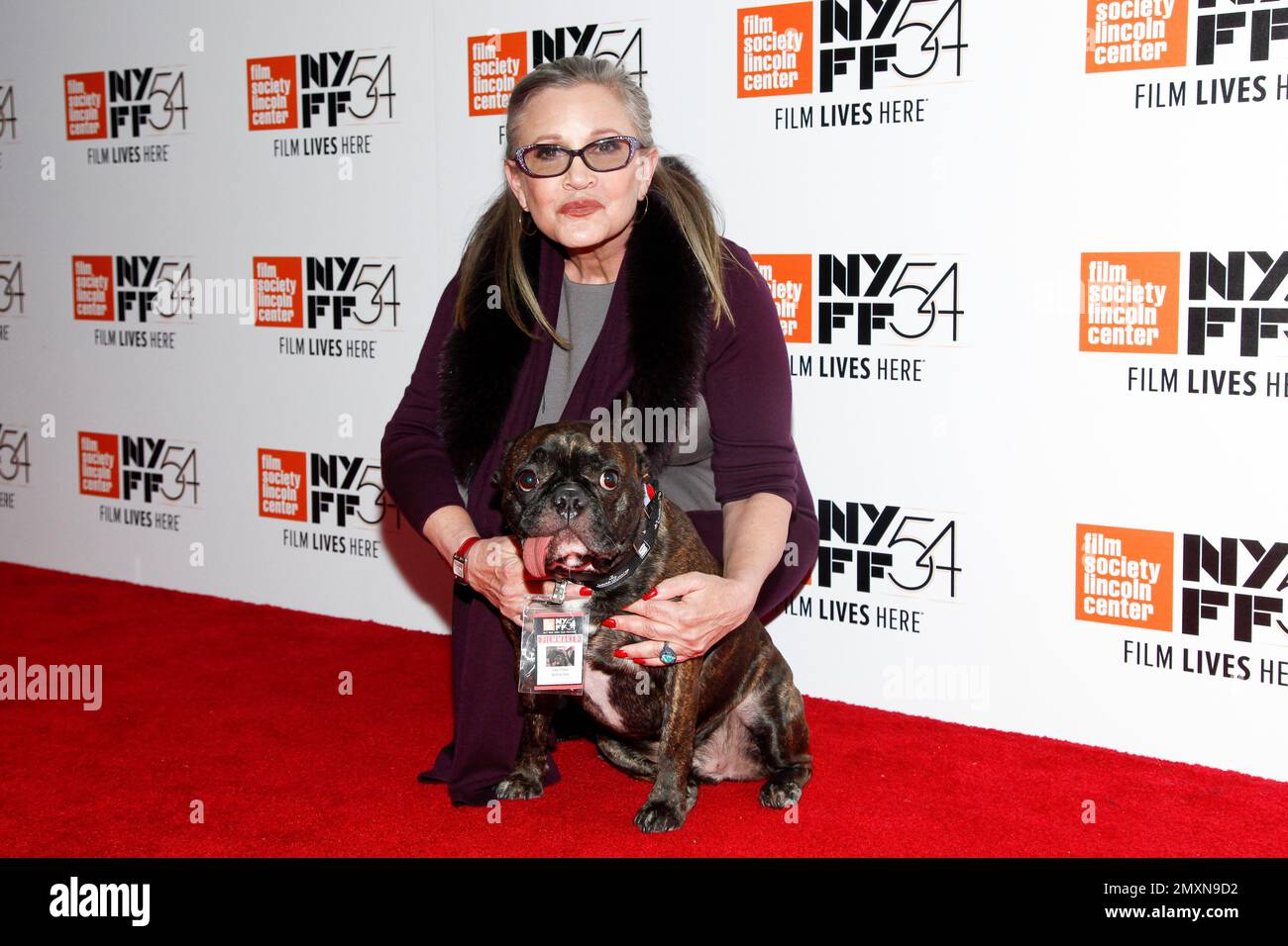 Actress Carrie Fisher attends a special screening of, "Bright Lights ...