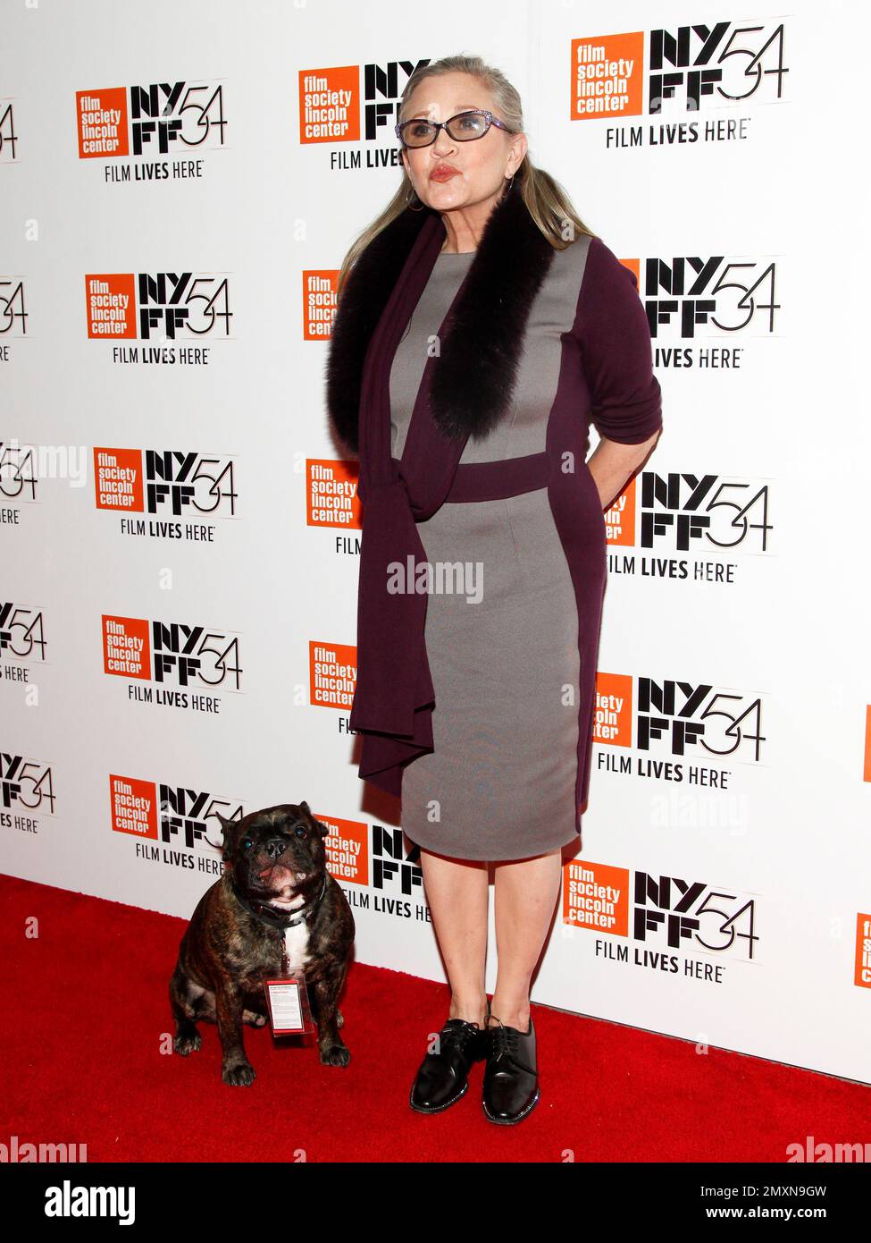 Actress Carrie Fisher attends a special screening of, "Bright Lights ...