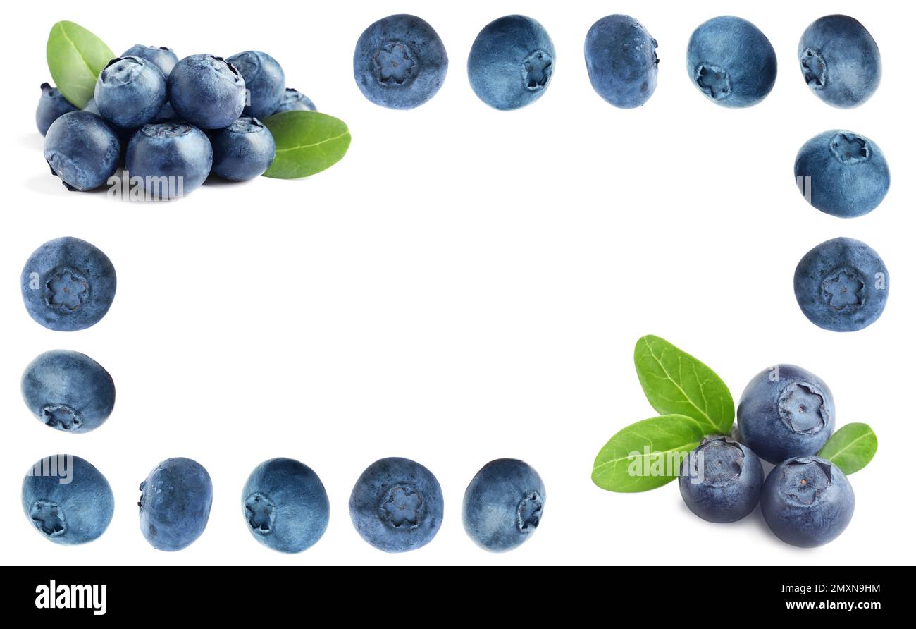 Frame of fresh blueberries on white background Stock Photo - Alamy