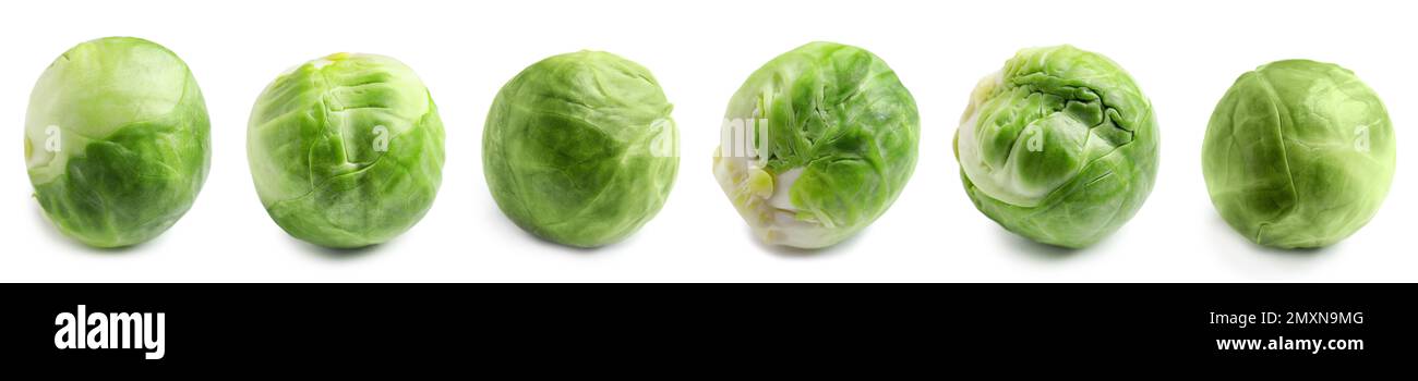 Set of fresh Brussels sprouts on white background. Banner design Stock ...